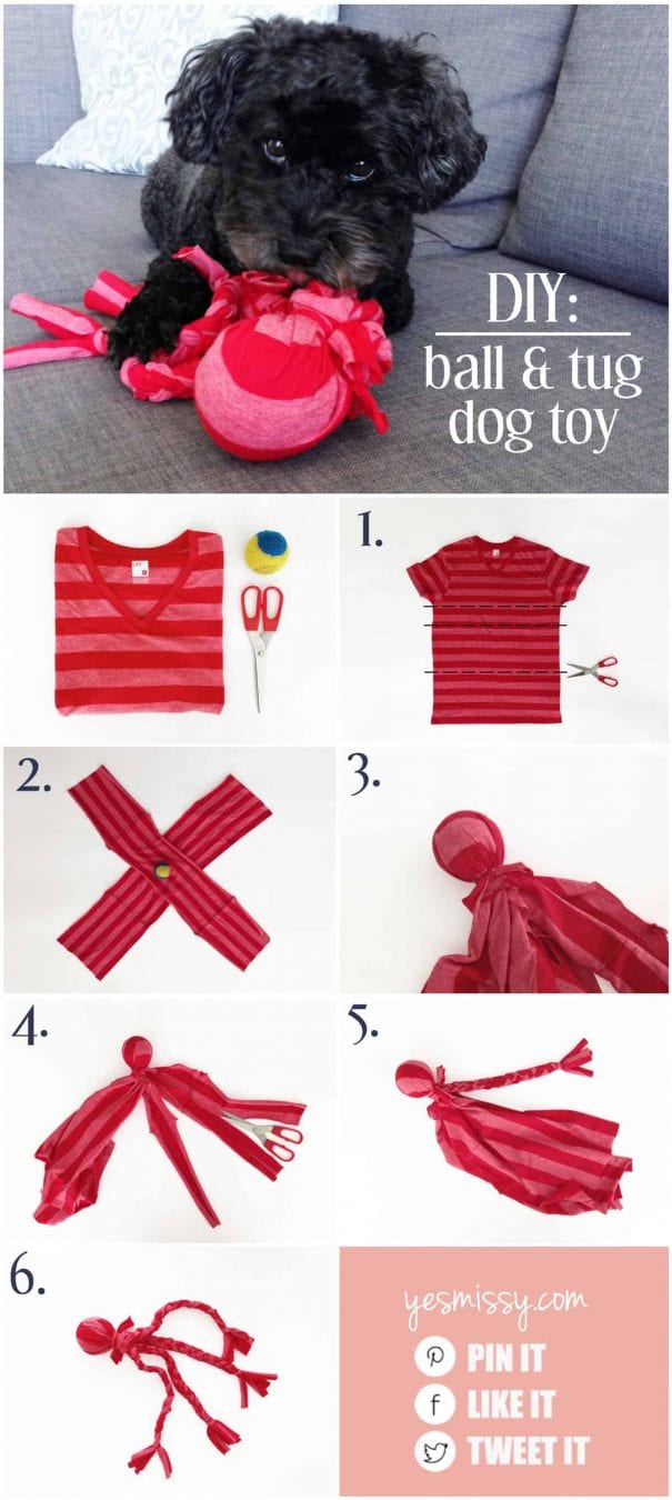 Your Dog Will Love This DIY Tug Toy 