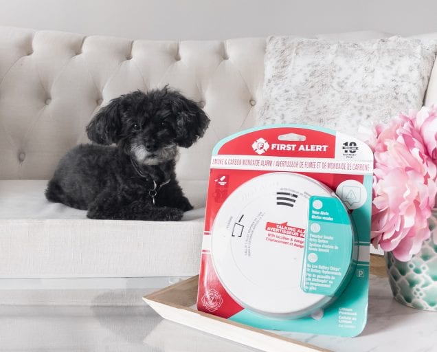 Fire Safety Tips for Pets - YesMissy