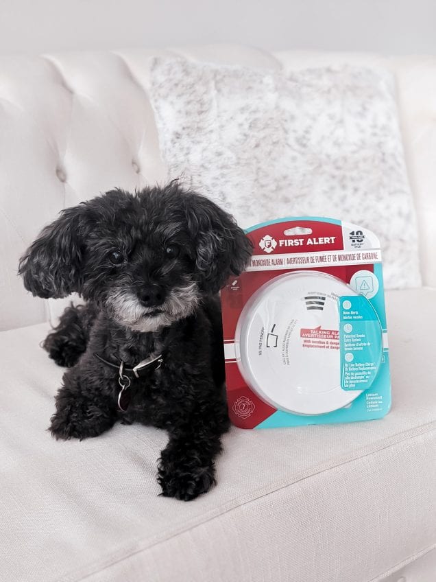 Fire Safety Tips for Pets - YesMissy