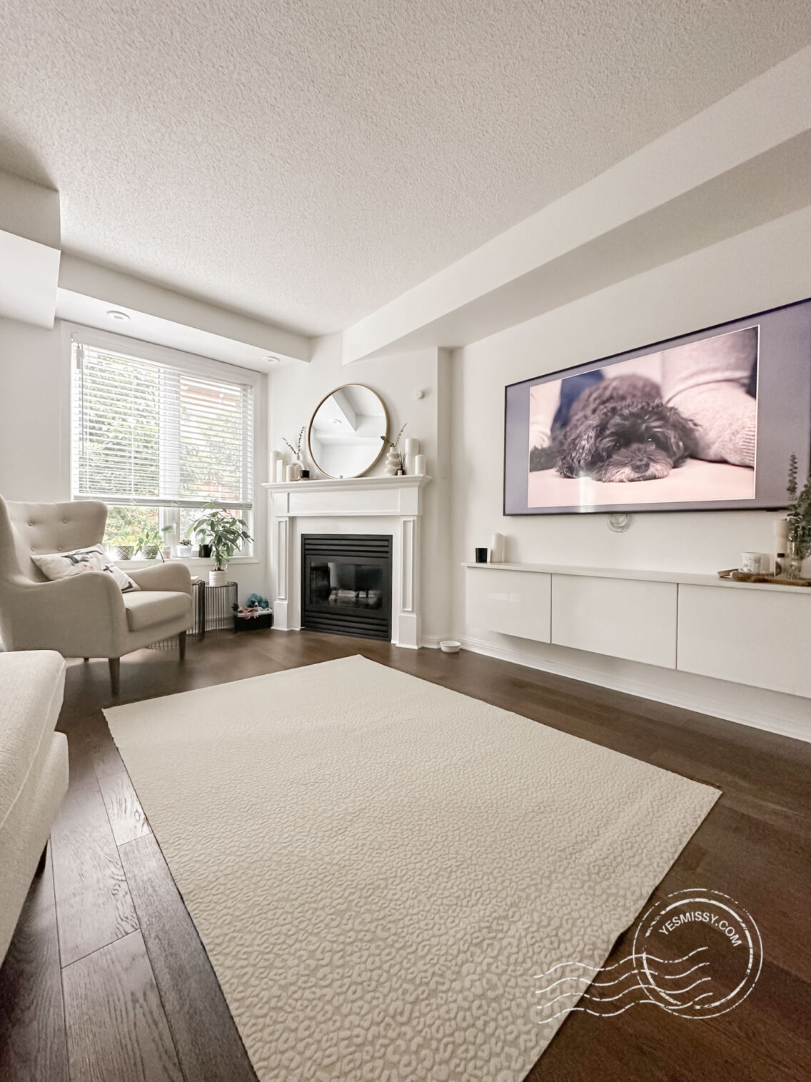 Best Indoor Area Rug Review - YesMissy