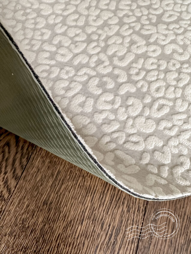 Best Indoor Area Rug Review - YesMissy